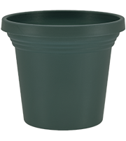 Specials – Arcadia Professional Grower